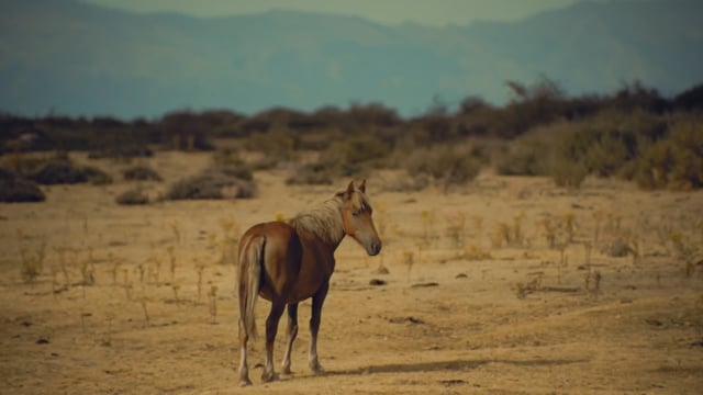 Cintri | Production | Editorial | Motion Graphics