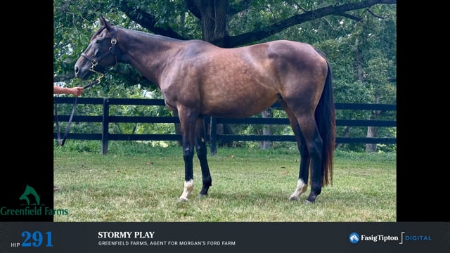 Stormy Play