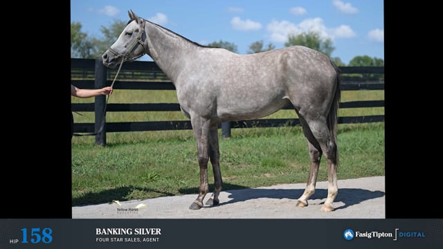 Banking Silver