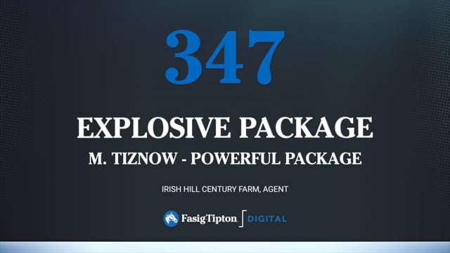 Explosive Package