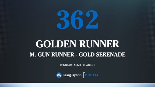 Golden Runner