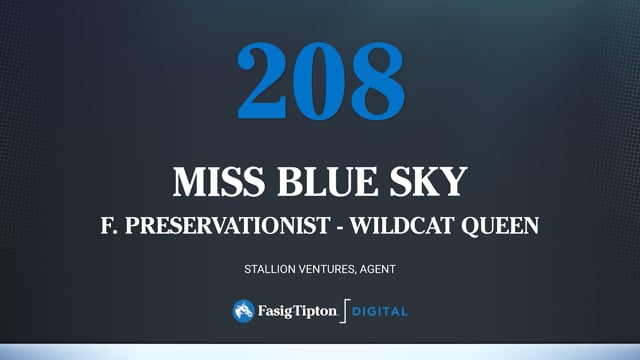 Miss Blue Sky