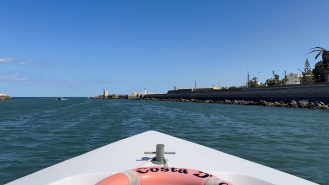 Virtual Rowing - Giethoorn - The Netherlands – World Nature Video