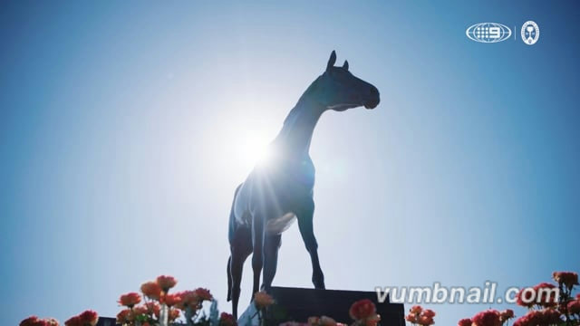Flemington | Victoria Racing Club | Melbourne Cup Carnival