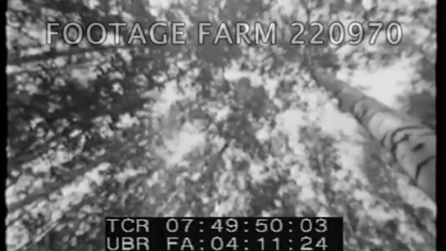 Footage Farm Ltd - Public Domain Film Archive and Historical Stock ...