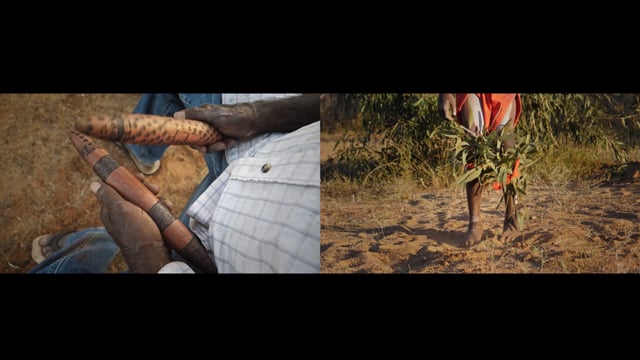 Sustaining song and spirit | Pursuit by the University of Melbourne